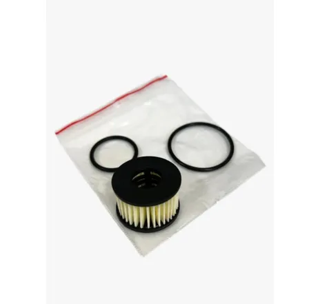 Filtru Gaz Stare Gazoasa 674000360 1.0 TCE 2020+ (169194462R)